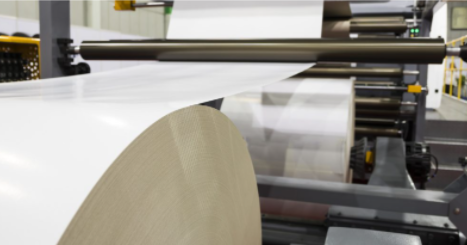 Asia Pulp and Paper Corporation: A Brief Introduction to Asia Pulp ...